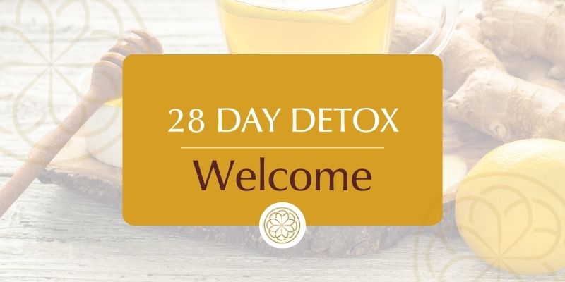 1. Welcome - Health Dynamics