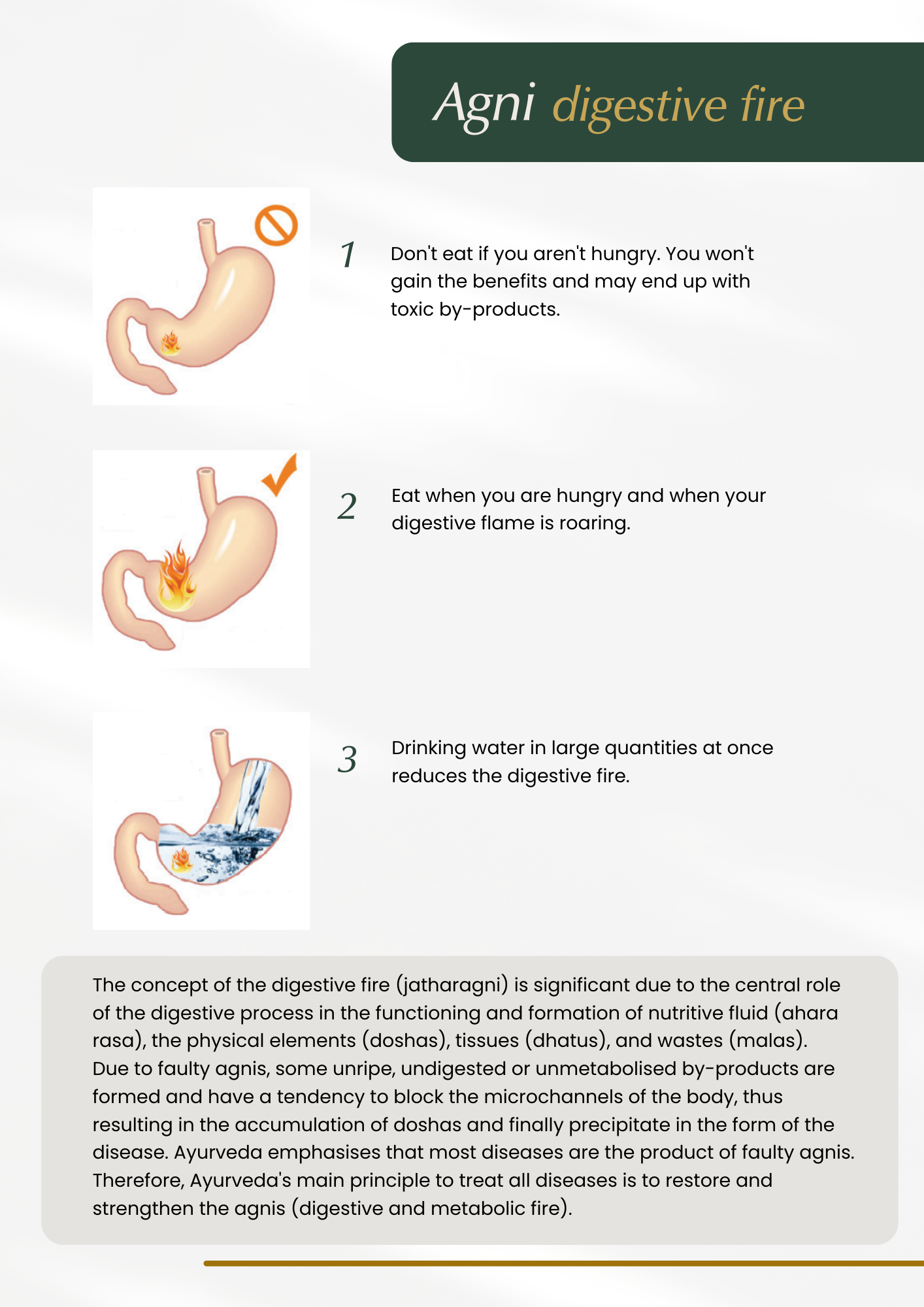 Agni Explained - Health Dynamics