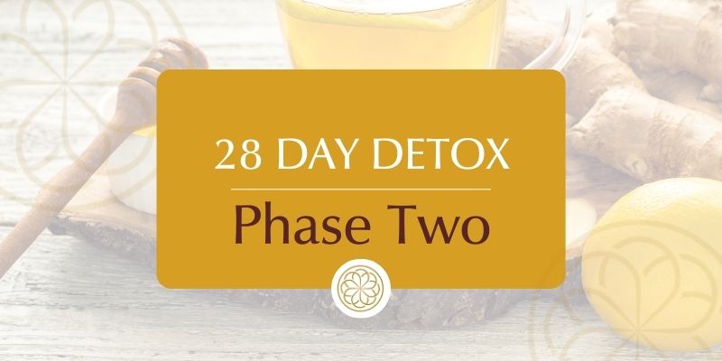 4. Phase 2 - Health Dynamics